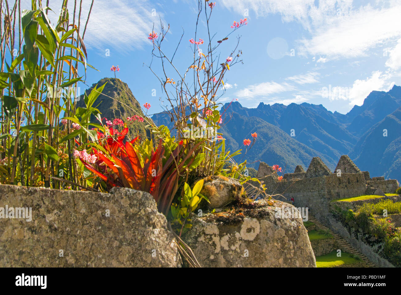 Ancient Inca Ruins of Machu Picchu Stock Photo - Alamy
