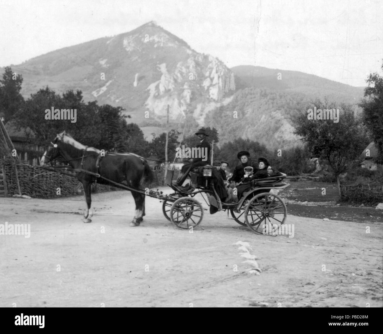 Buru Black and White Stock Photos & Images - Alamy