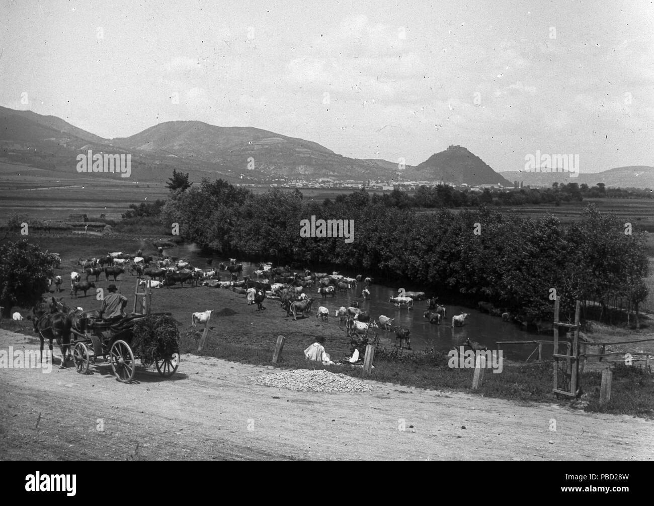 Deva romania romanian hi-res stock photography and images - Alamy