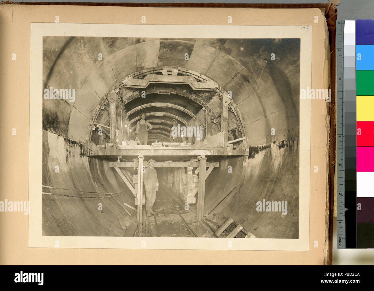 Haunches hi-res stock photography and images - Alamy