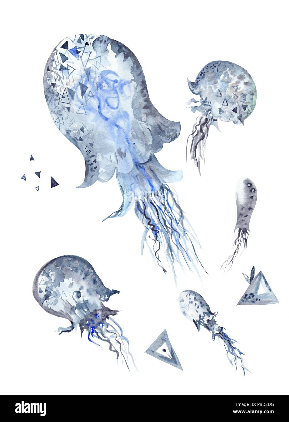 Detailed fish artwork Cut Out Stock Images & Pictures - Alamy