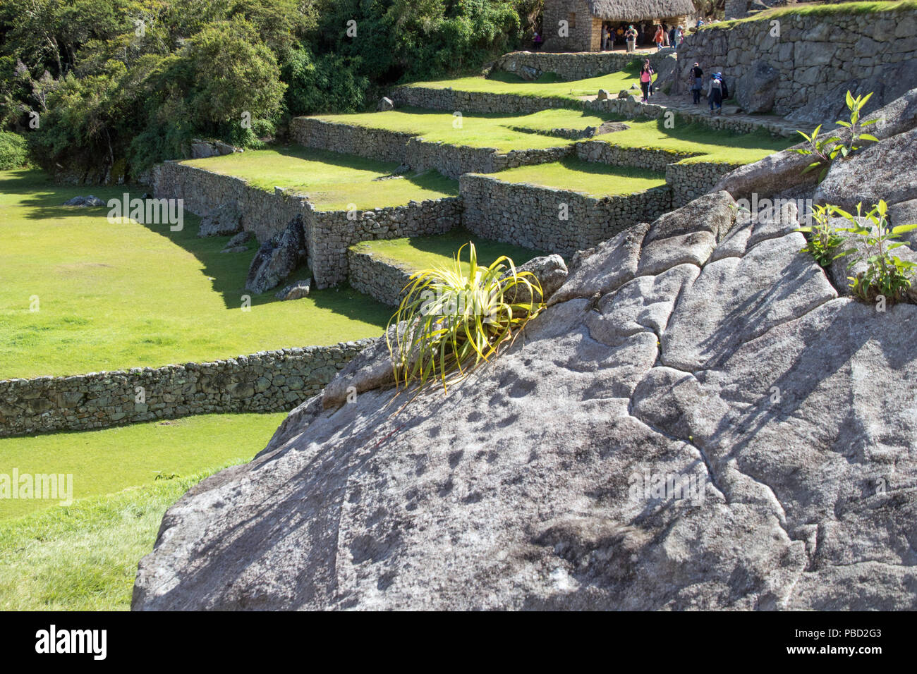 Ancient Inca Ruins of Machu Picchu Stock Photo - Alamy