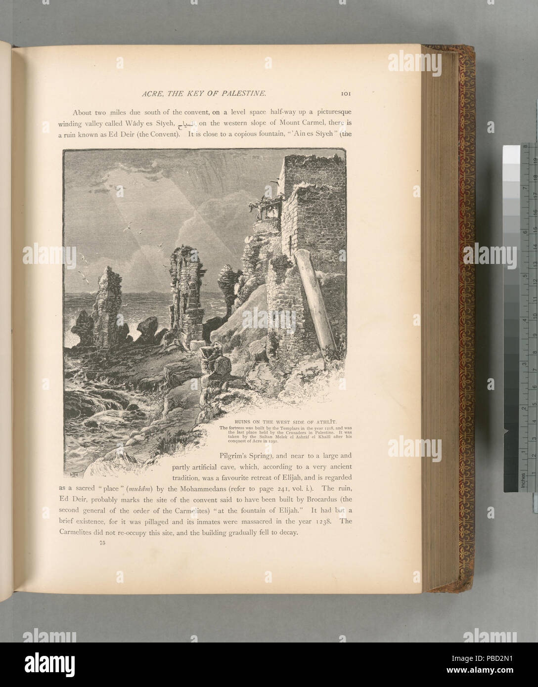 1277 Ruins on the west side of Athlît. The fortress was built by the ...