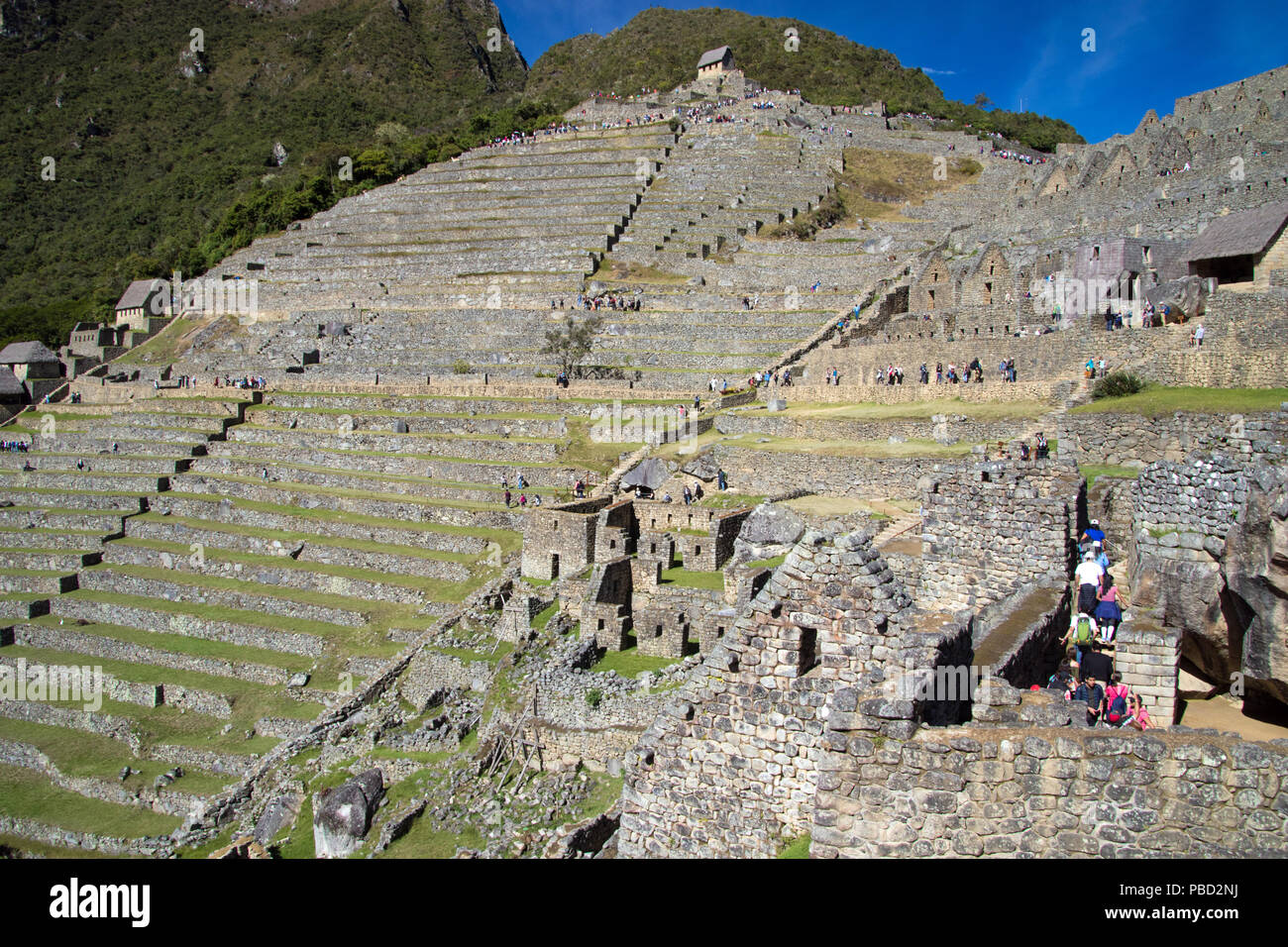 Ancient Inca Ruins of Machu Picchu Stock Photo - Alamy