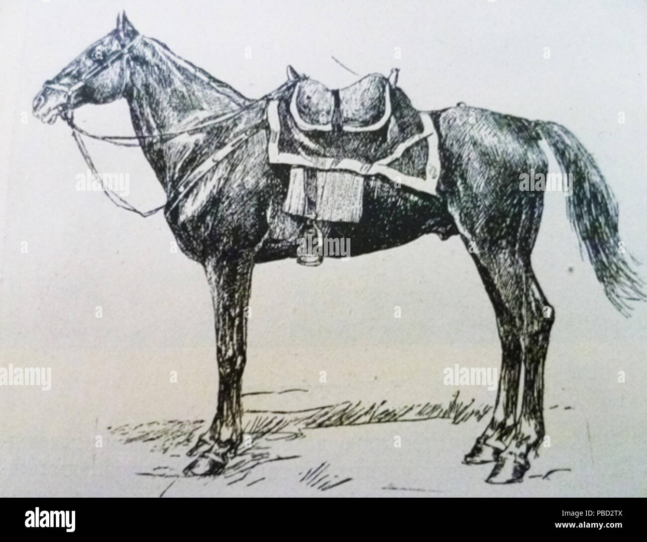 Russian don hi-res stock photography and images - Alamy