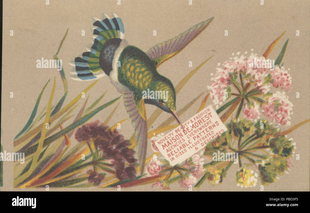 Tinkham High Resolution Stock Photography and Images - Alamy