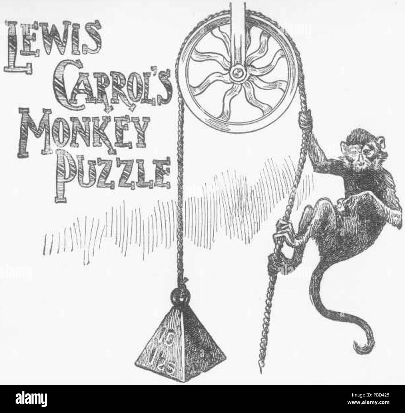 Monkey puzzles hi-res stock photography and images - Alamy