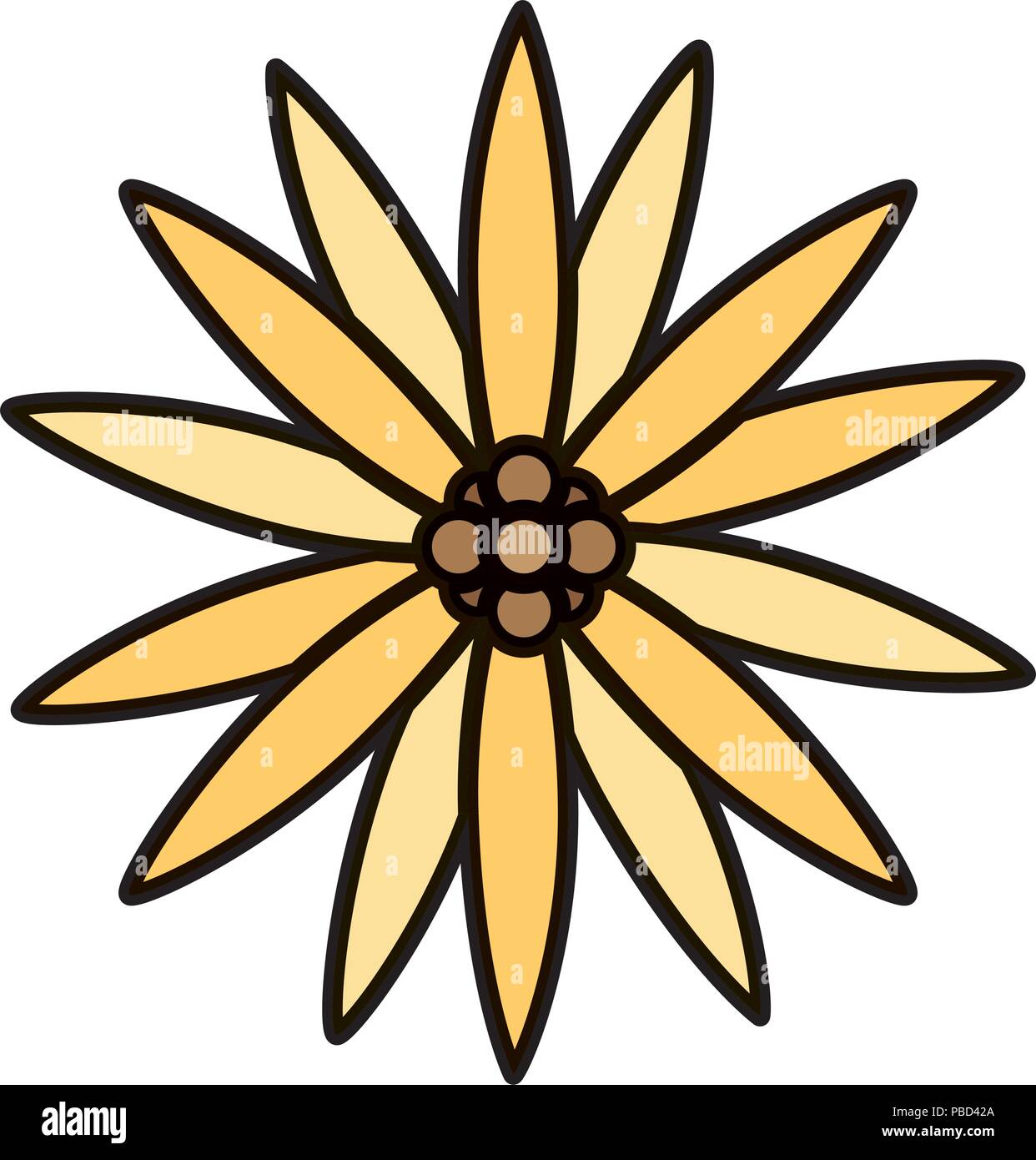 color cute exotic flower with petals style Stock Vector Image & Art - Alamy