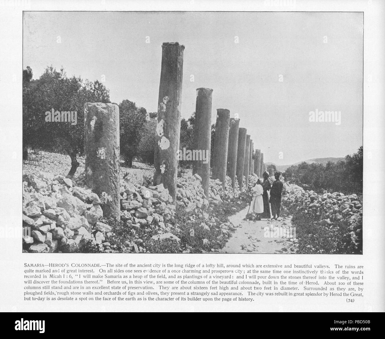 1285 Samaria. Herod's Colonnade, 74.Holy land photographed. Daniel B ...