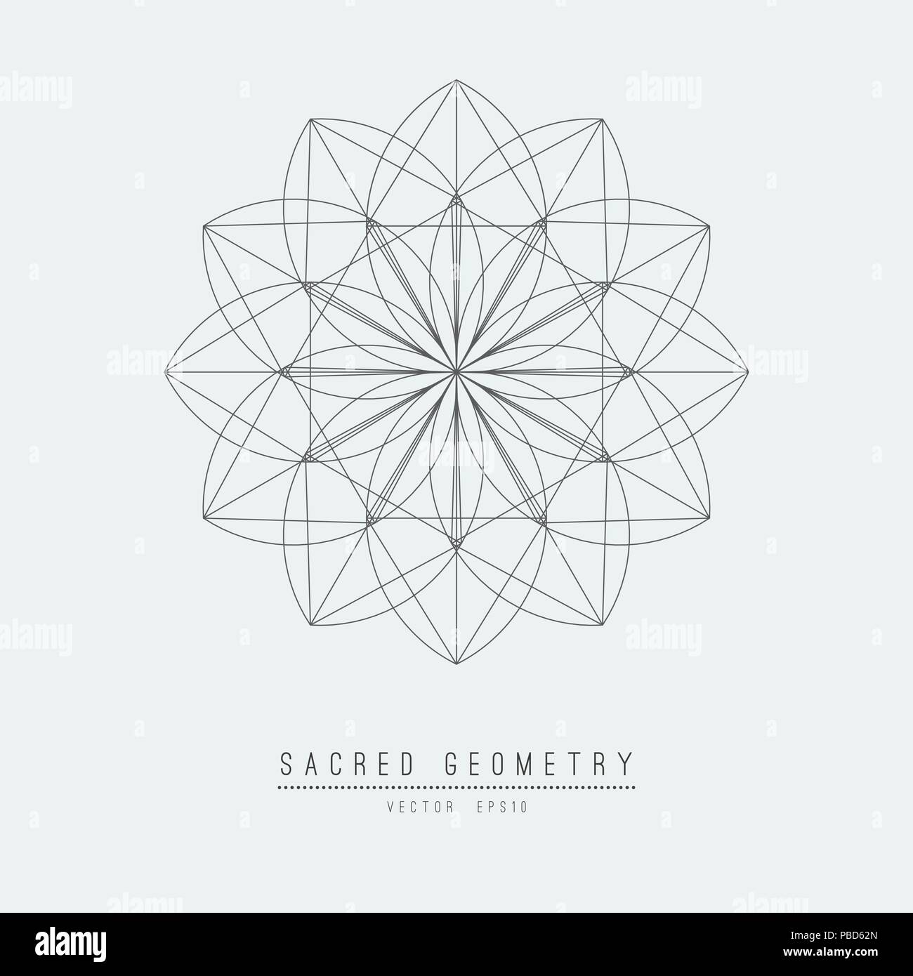 Sacred geometry line vector element flower of life . Vector ...