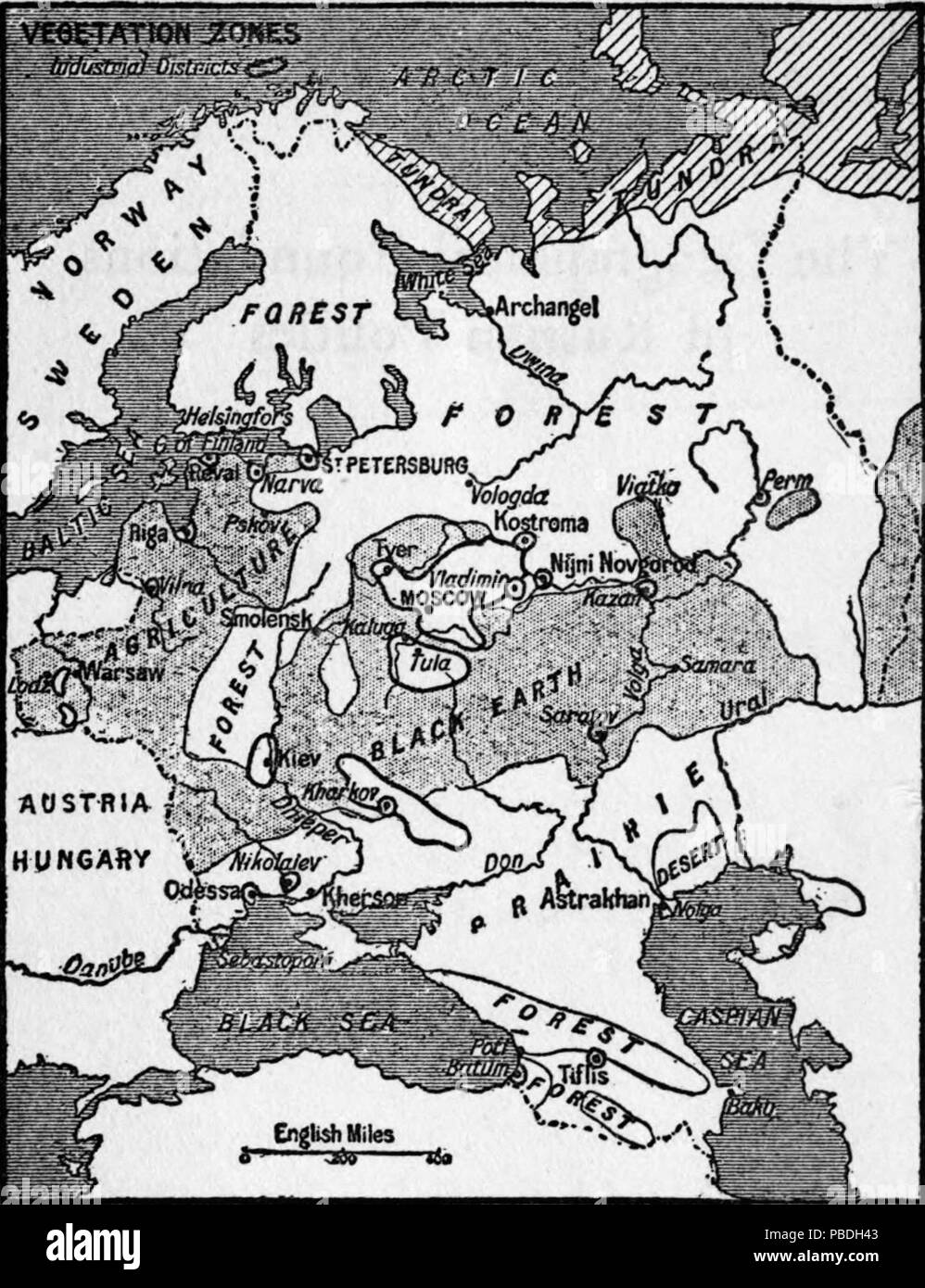 1291 Sarolea - Great Russia - Map of European Russia Stock Photo - Alamy