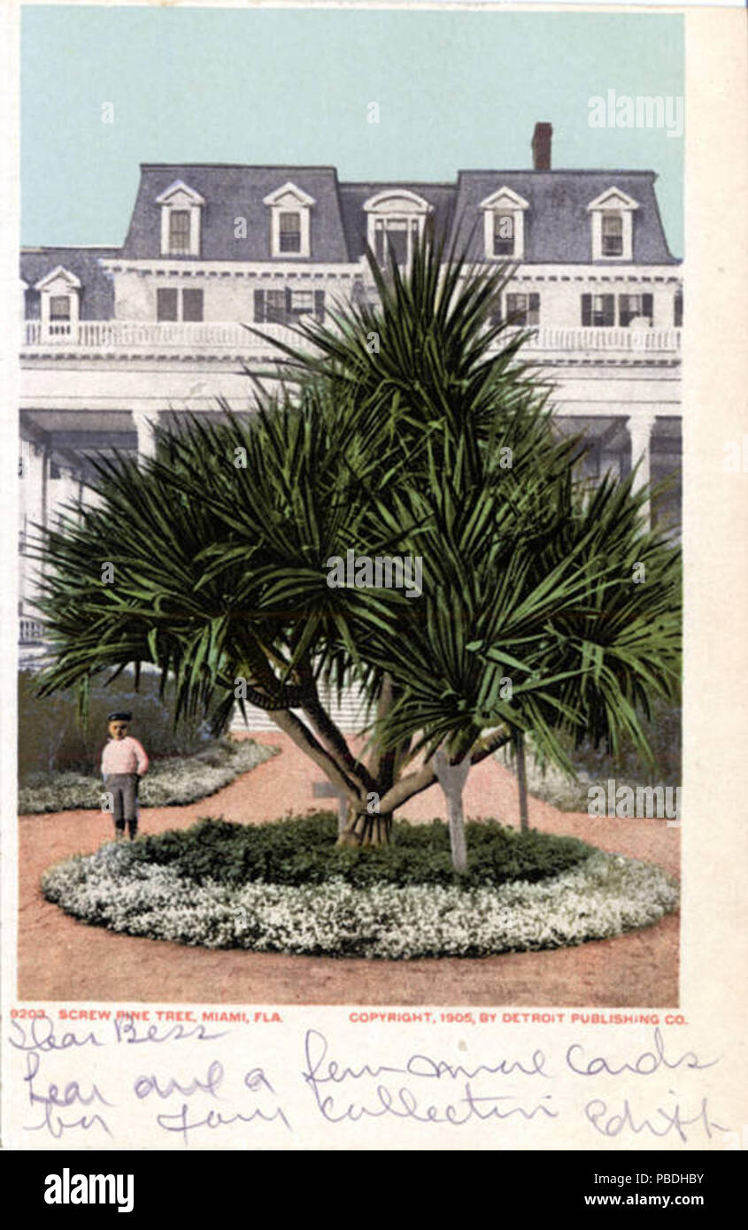 Scew High Resolution Stock Photography and Images - Alamy