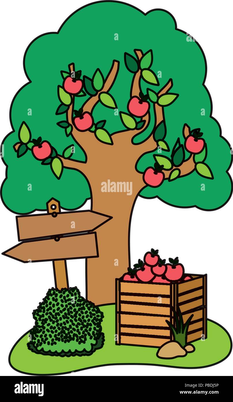 Apple tree farmhouse farm farm Stock Vector Images - Alamy
