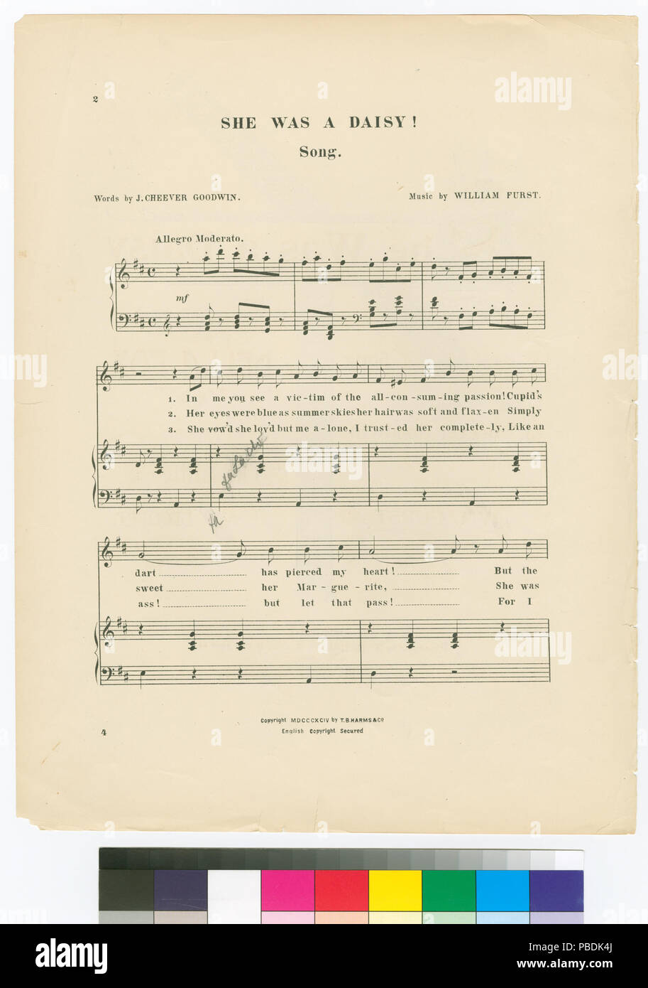 She daisy hi-res stock photography and images - Alamy