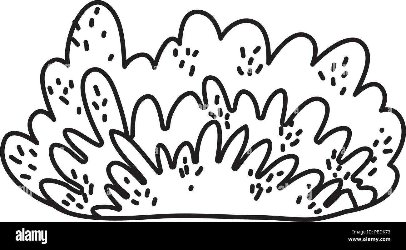 line nature bush plant with exotic leaves Stock Vector Image & Art - Alamy