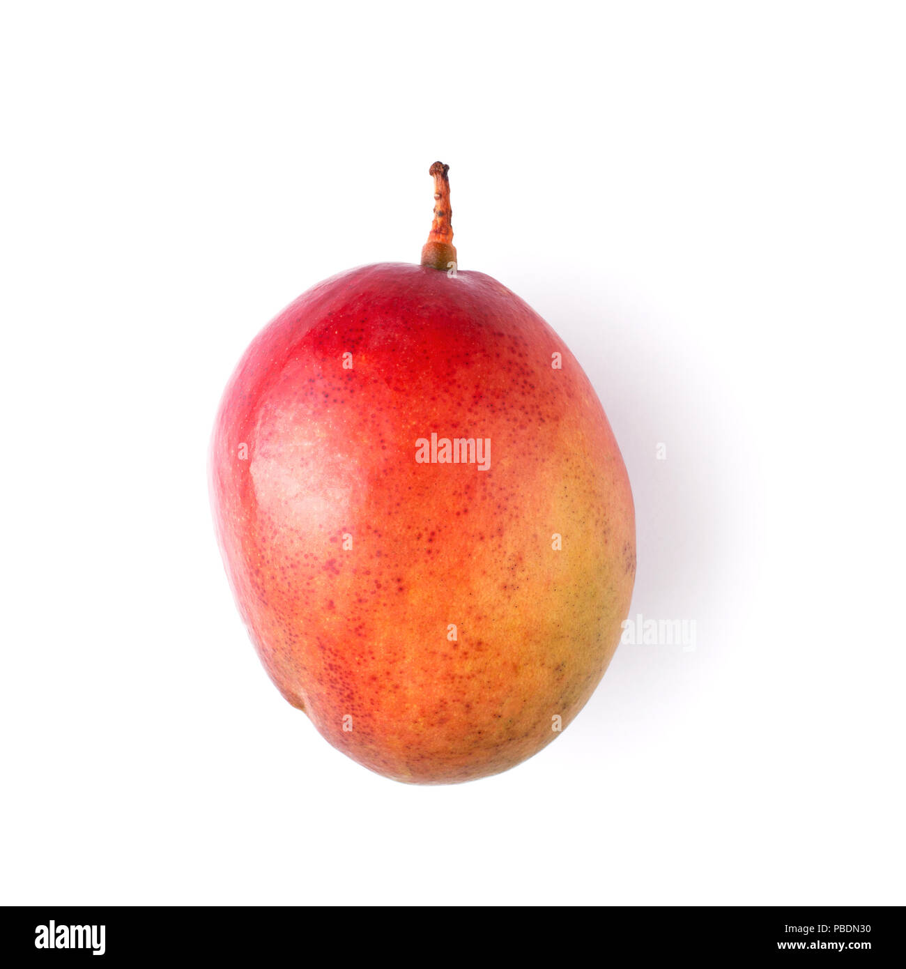 One whole mango fruit isolated on white. Minimal styled composition ...