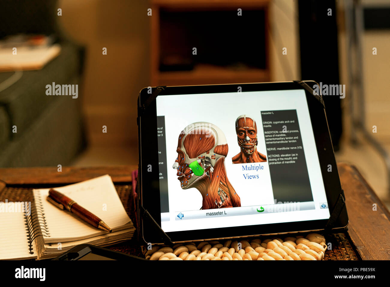 Elearning ipad hi-res stock photography and images - Alamy