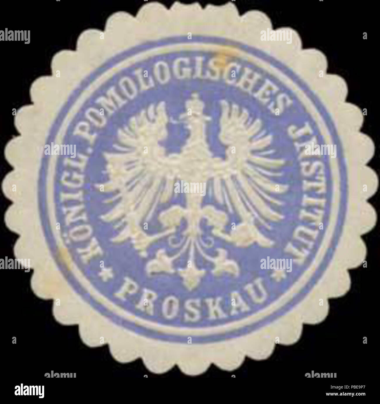 Proskau hi-res stock photography and images - Alamy