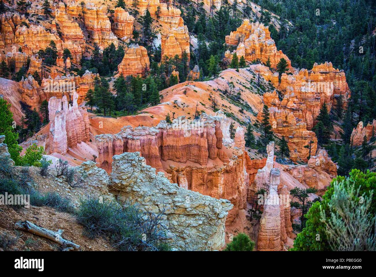 Utah, USA. 1st June, 2018. The vivid colors of the geological features ...