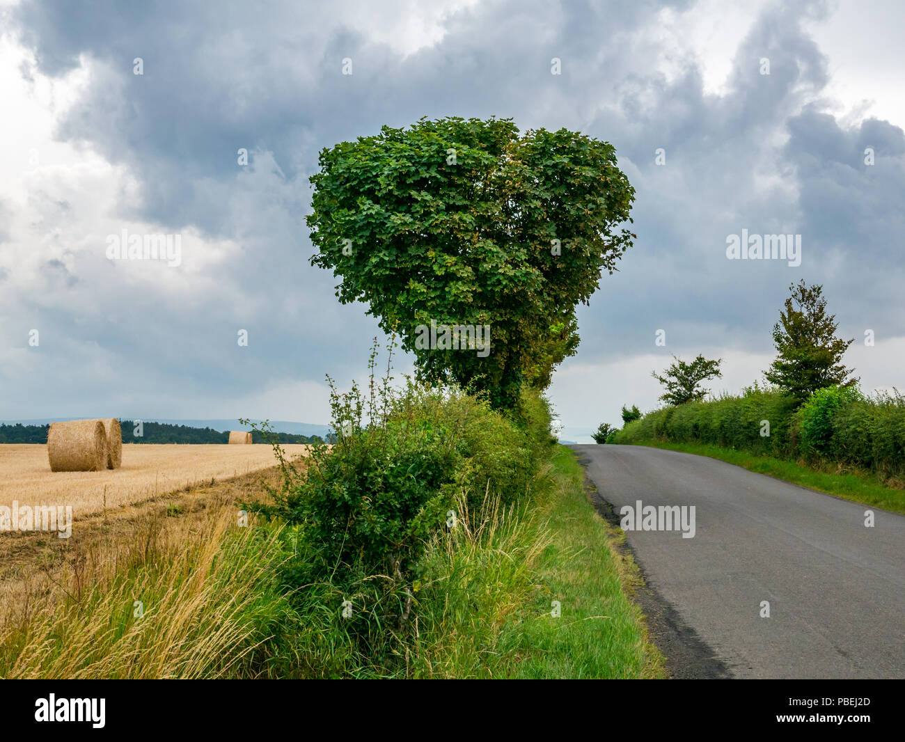 East Lothian, Scotland, United Kingdom, 28th July 2018. UK Weather ...