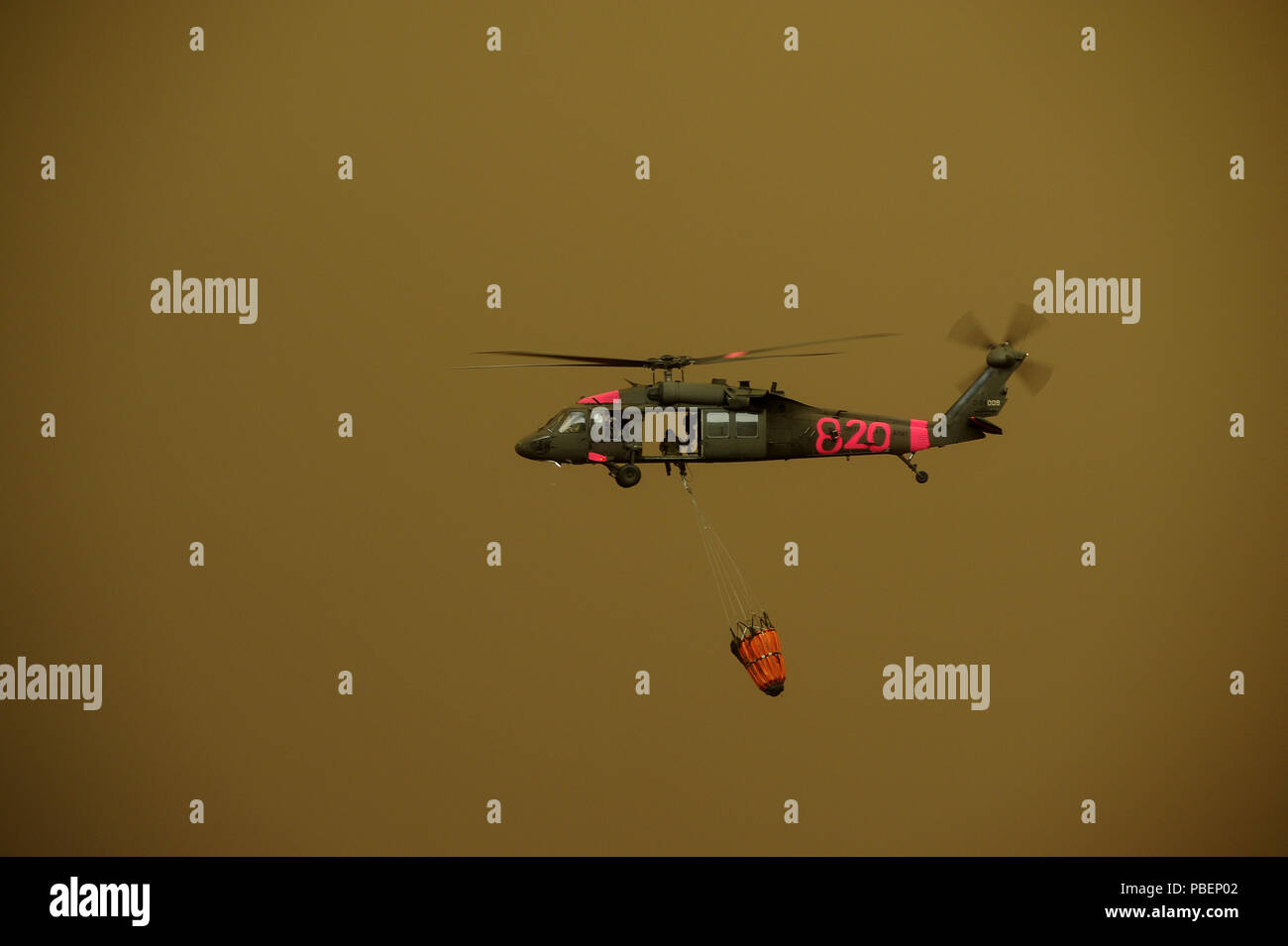 Bambi buckets hi-res stock photography and images - Alamy