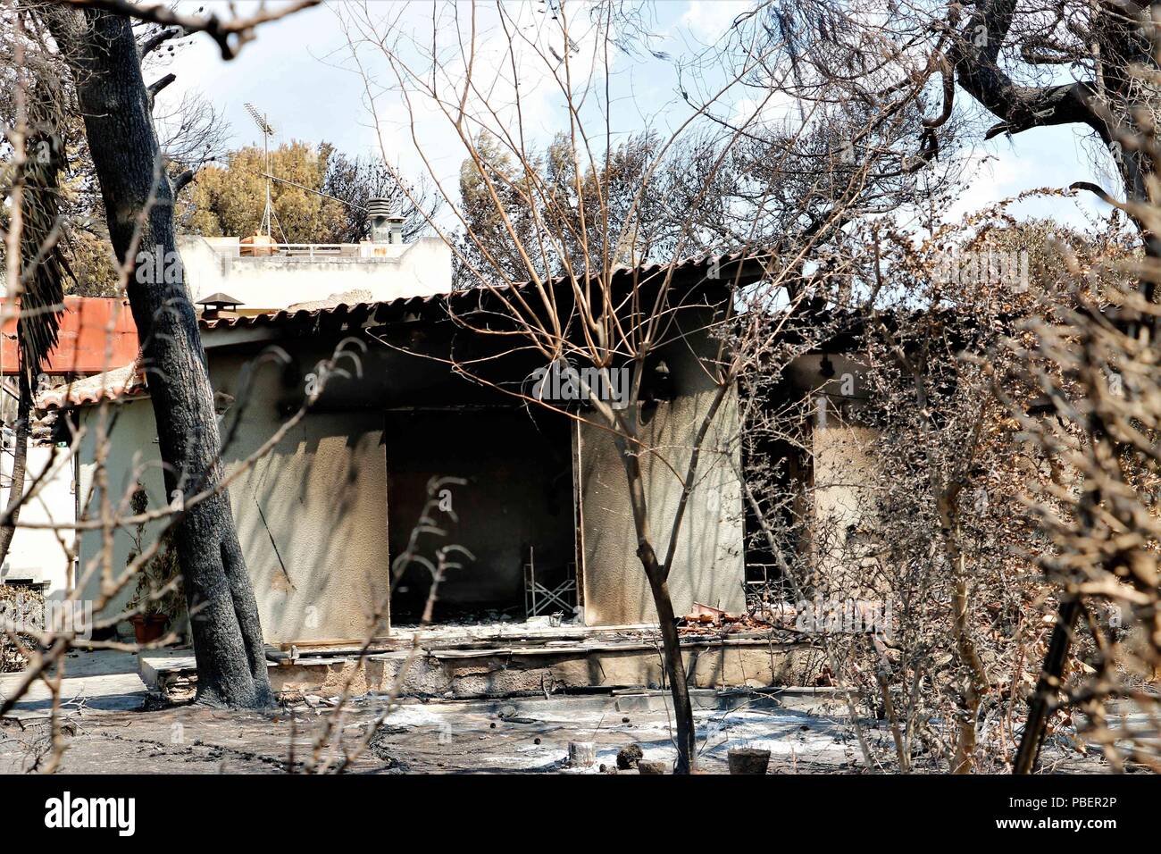 Athens, Greece. 28th July, 2018. Trees that were destroyed by the fires ...