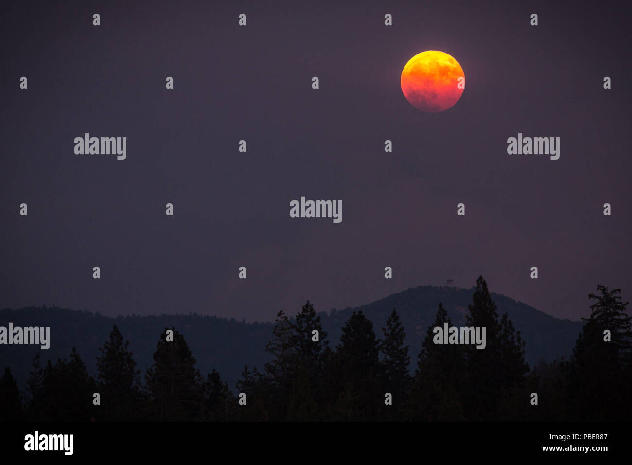 55499 hi-res stock photography and images - Alamy