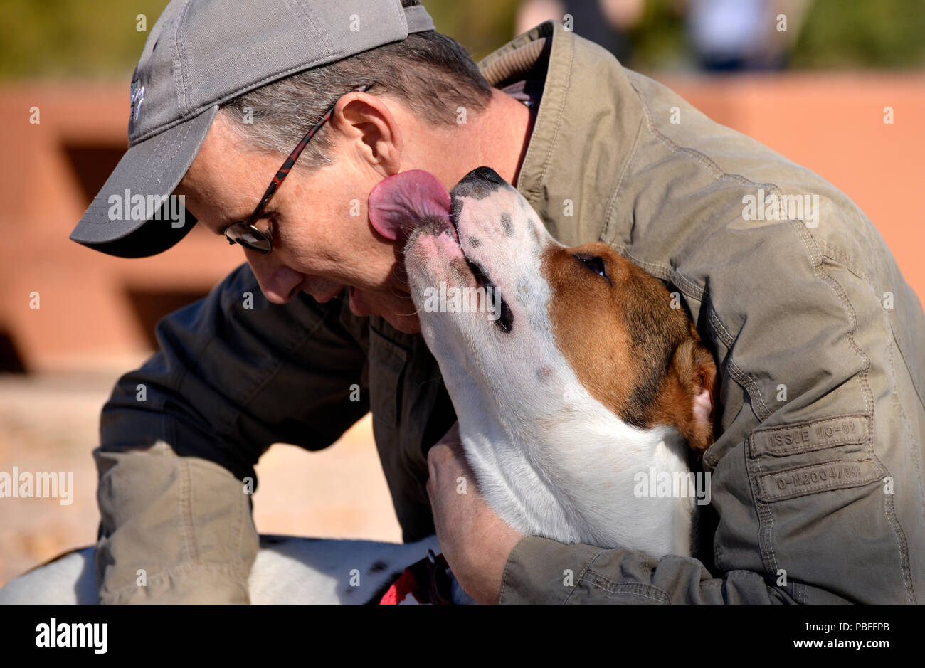 Volunteer dog walkers give and receive affection from dogs Stock Photo ...