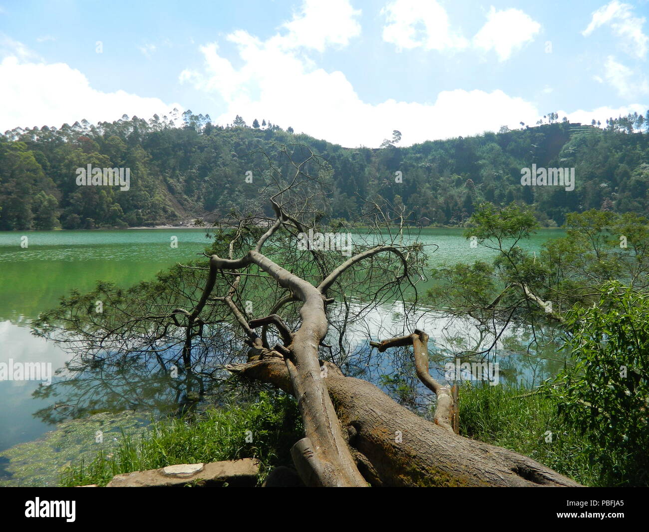 Telaga warna at Dieng Indonesia Stock Photo - Alamy