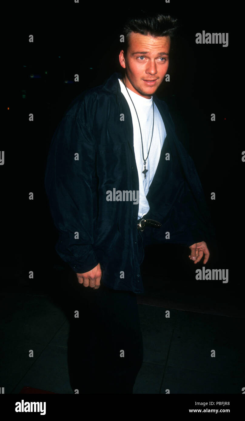 BEVERLY HILLS, CA - APRIL 1: Actor Sean Patrick Flanery attends the ...