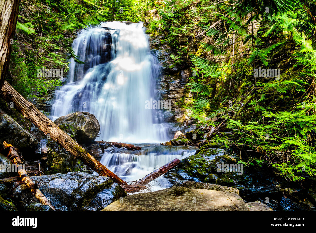Whitecroft Falls, a waterfall on McGillivray Creek and a short hike ...