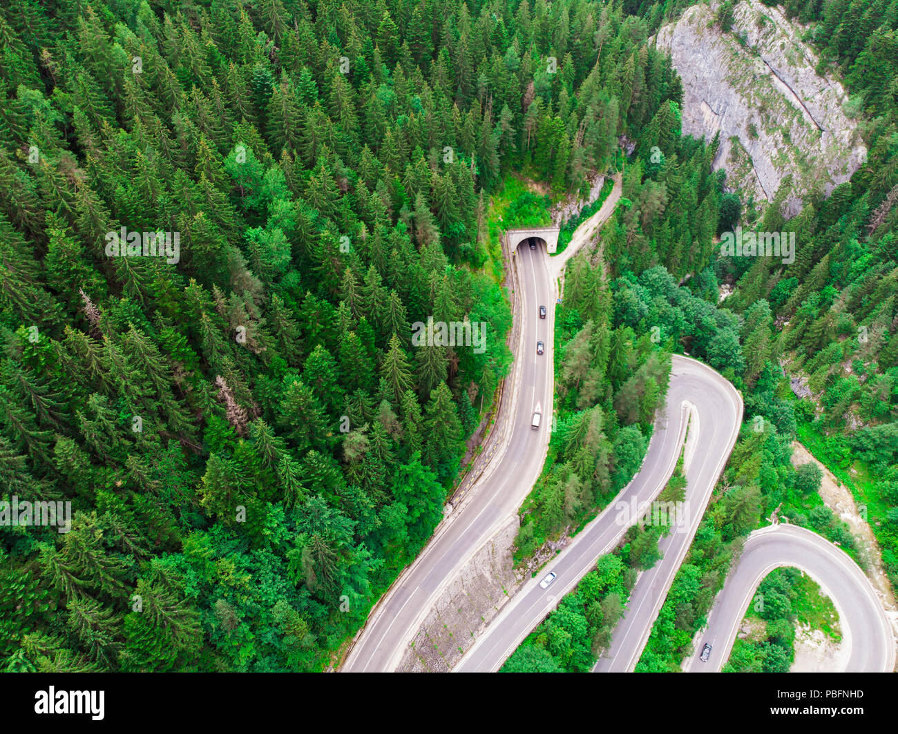 tunnel entrance in forest. aerial view from drone Stock Photo - Alamy