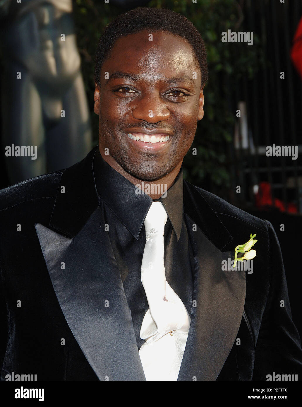 Adewale Akinnuoye-Agbaje arriving at the 12th Annual Screen Actors ...