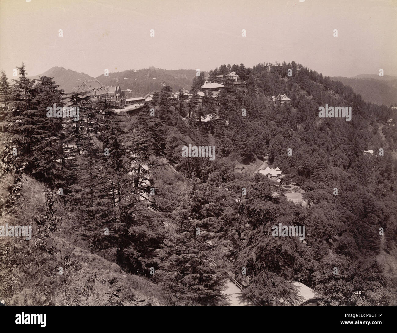 Simla life hi-res stock photography and images - Alamy
