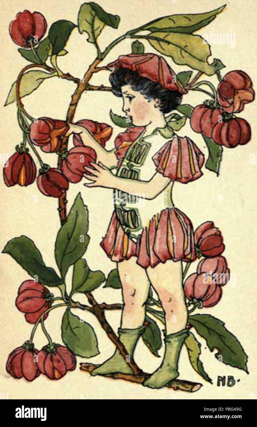 Ornamental shrub seeds hi-res stock photography and images - Alamy