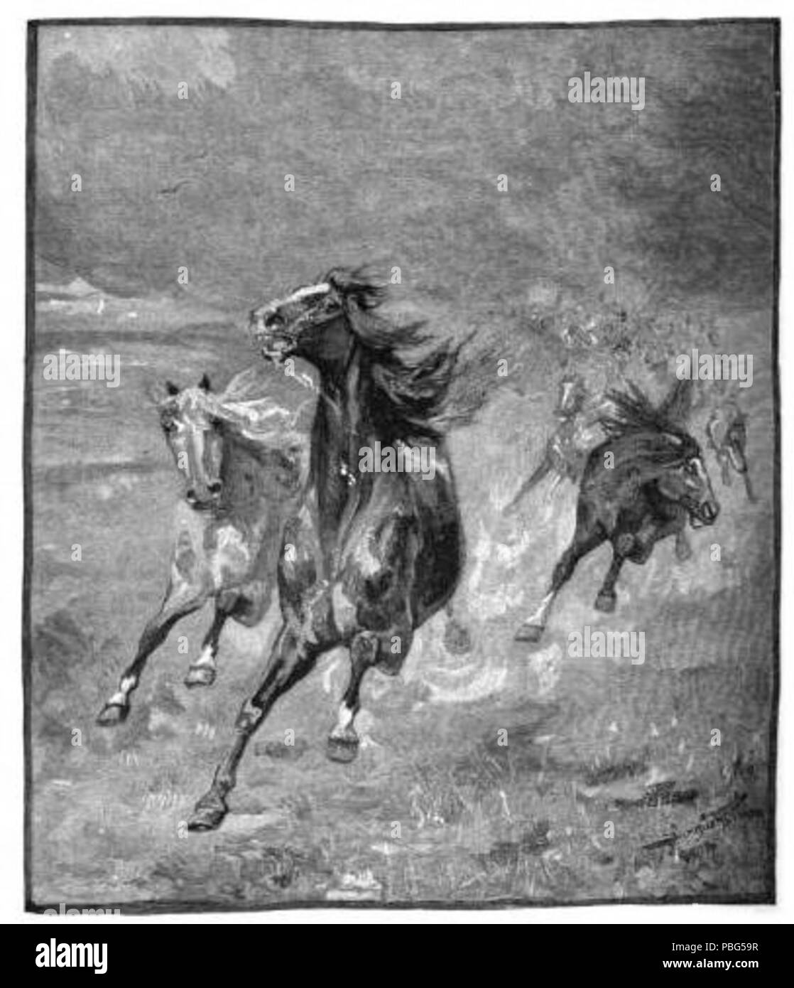 Stampeding horses hi-res stock photography and images - Alamy