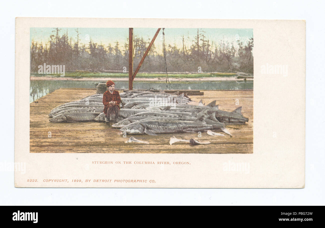 Oregon library Cut Out Stock Images & Pictures - Alamy