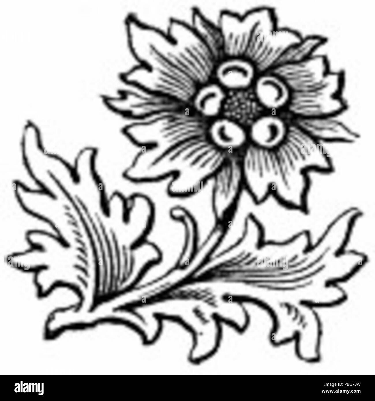 Stylish european Black and White Stock Photos & Images - Alamy