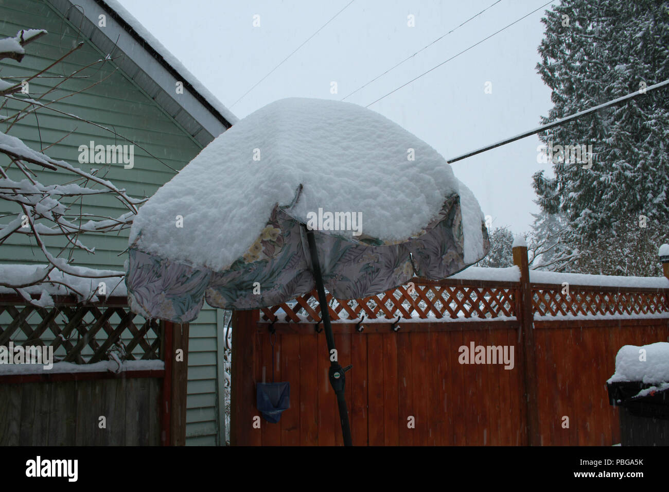 A patio umbrella covered in snow Stock Photo - Alamy
