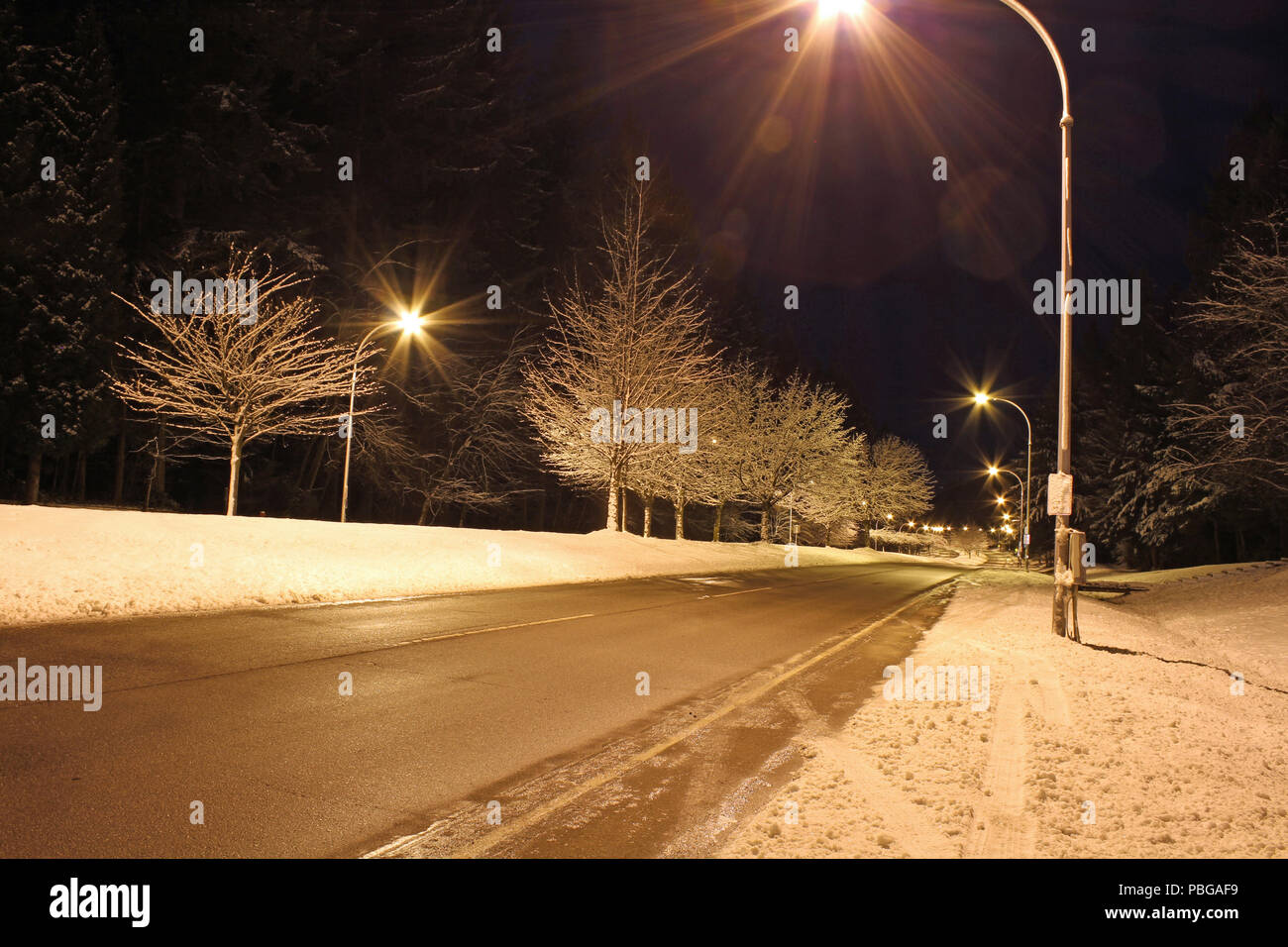 A winter road at night with snow covered trees and street lights Stock ...