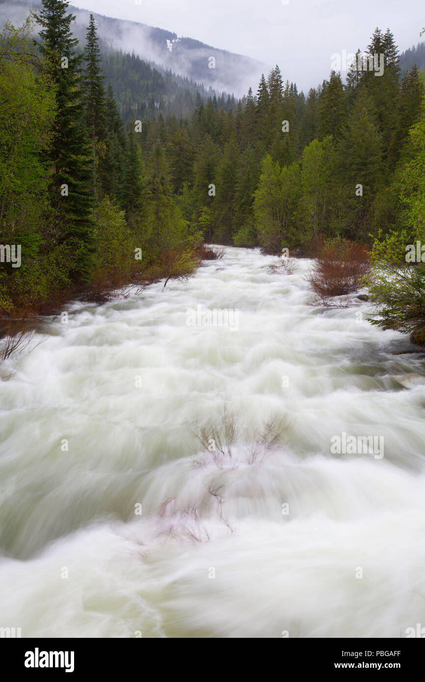 Boulder Creek, Lochsa Wild and Scenic River, Northwest Passage Scenic ...