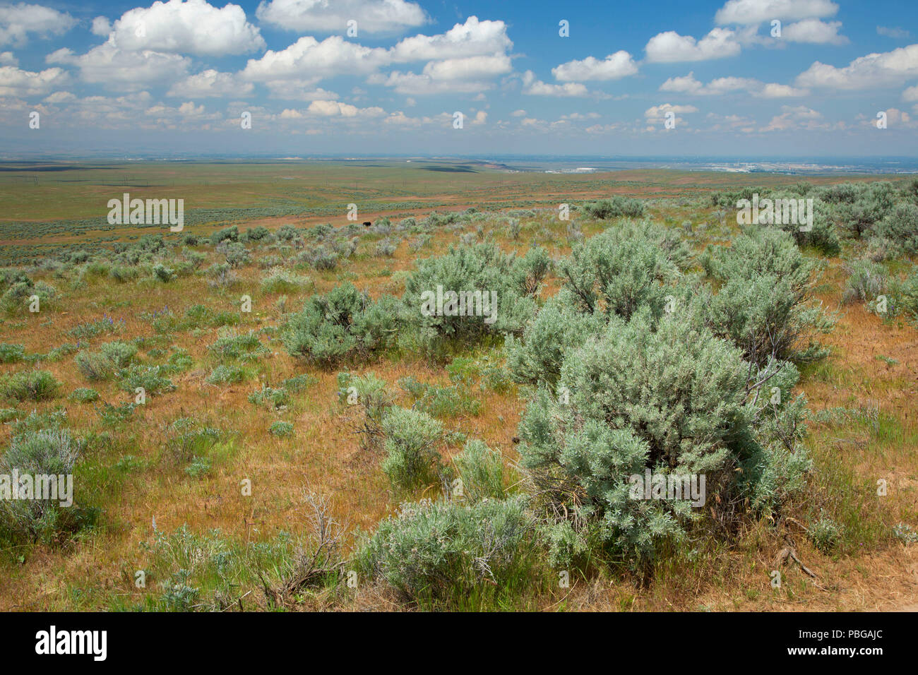 Oregon trail hi-res stock photography and images - Alamy