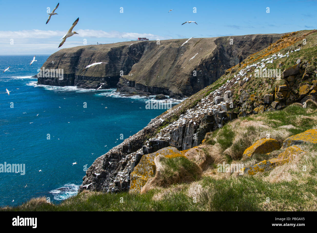 Dancing in the wind hi-res stock photography and images - Alamy