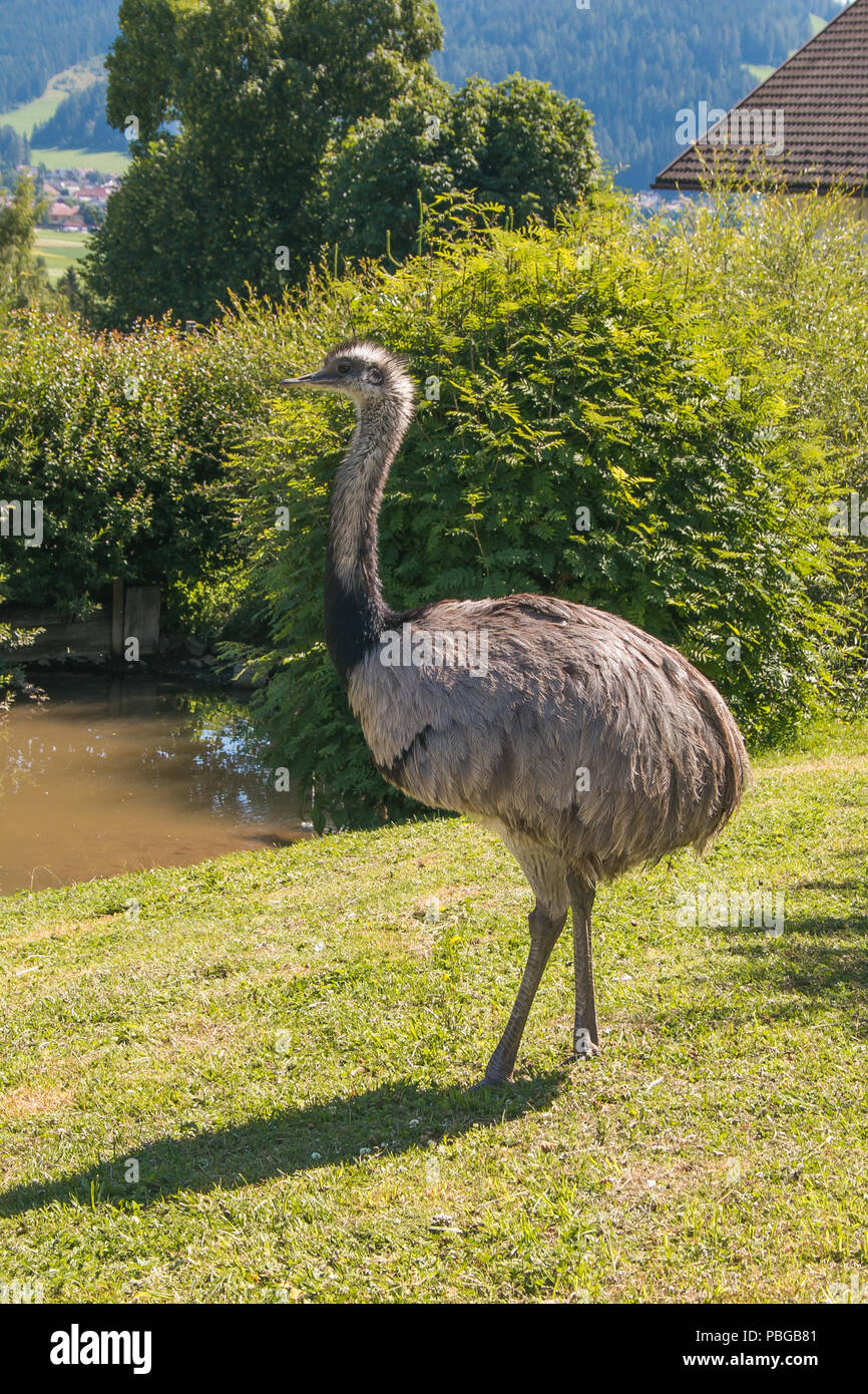 Big quill lake hi-res stock photography and images - Alamy