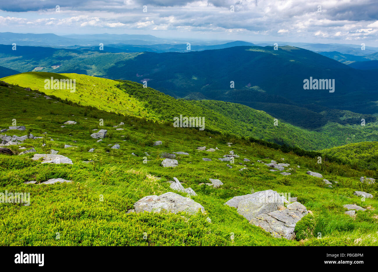 grassy slope with rocks on high altitude in mountains. beautiful summer ...