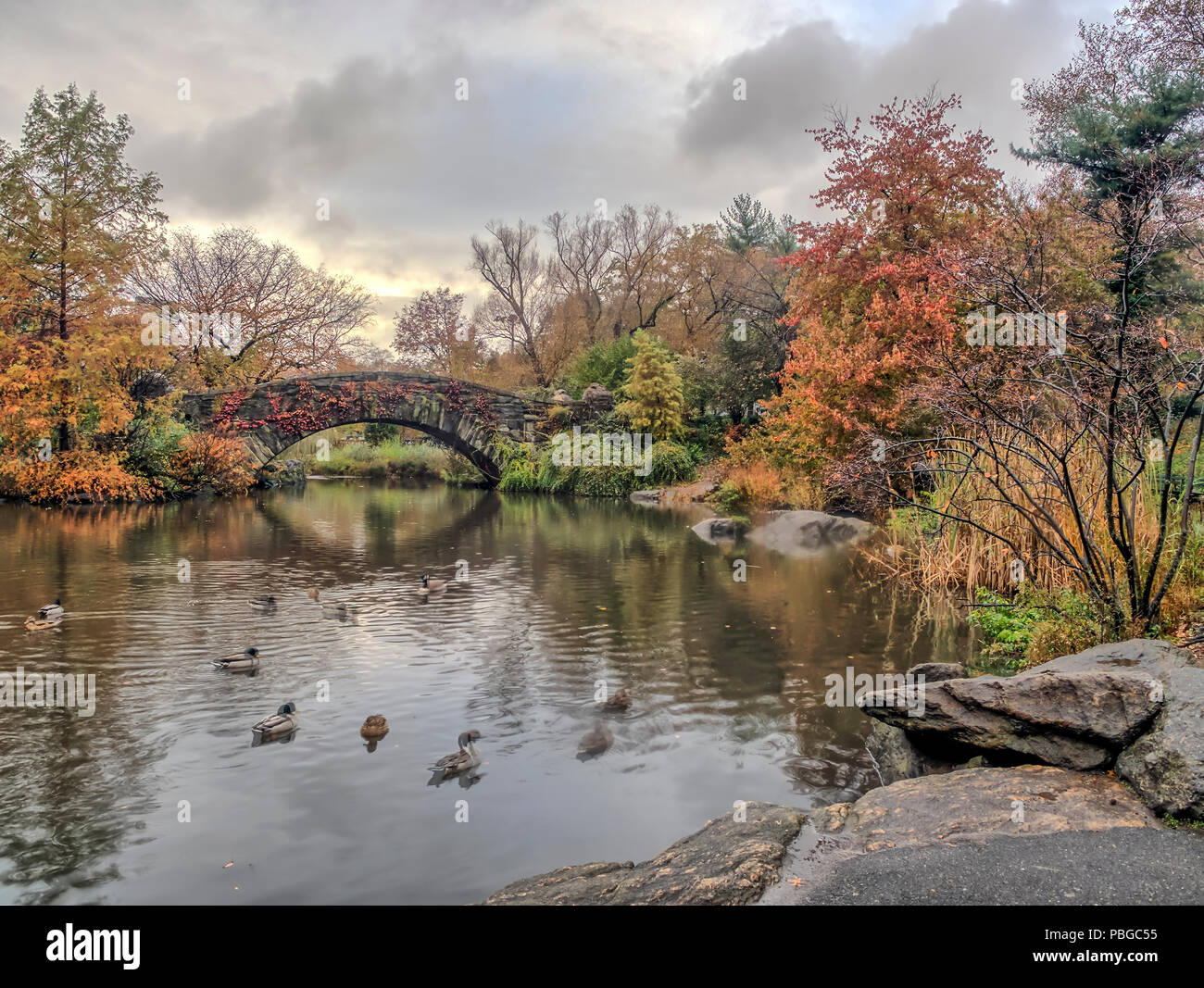 The Bow Bridge is a cast iron bridge located in Central Park, New York ...