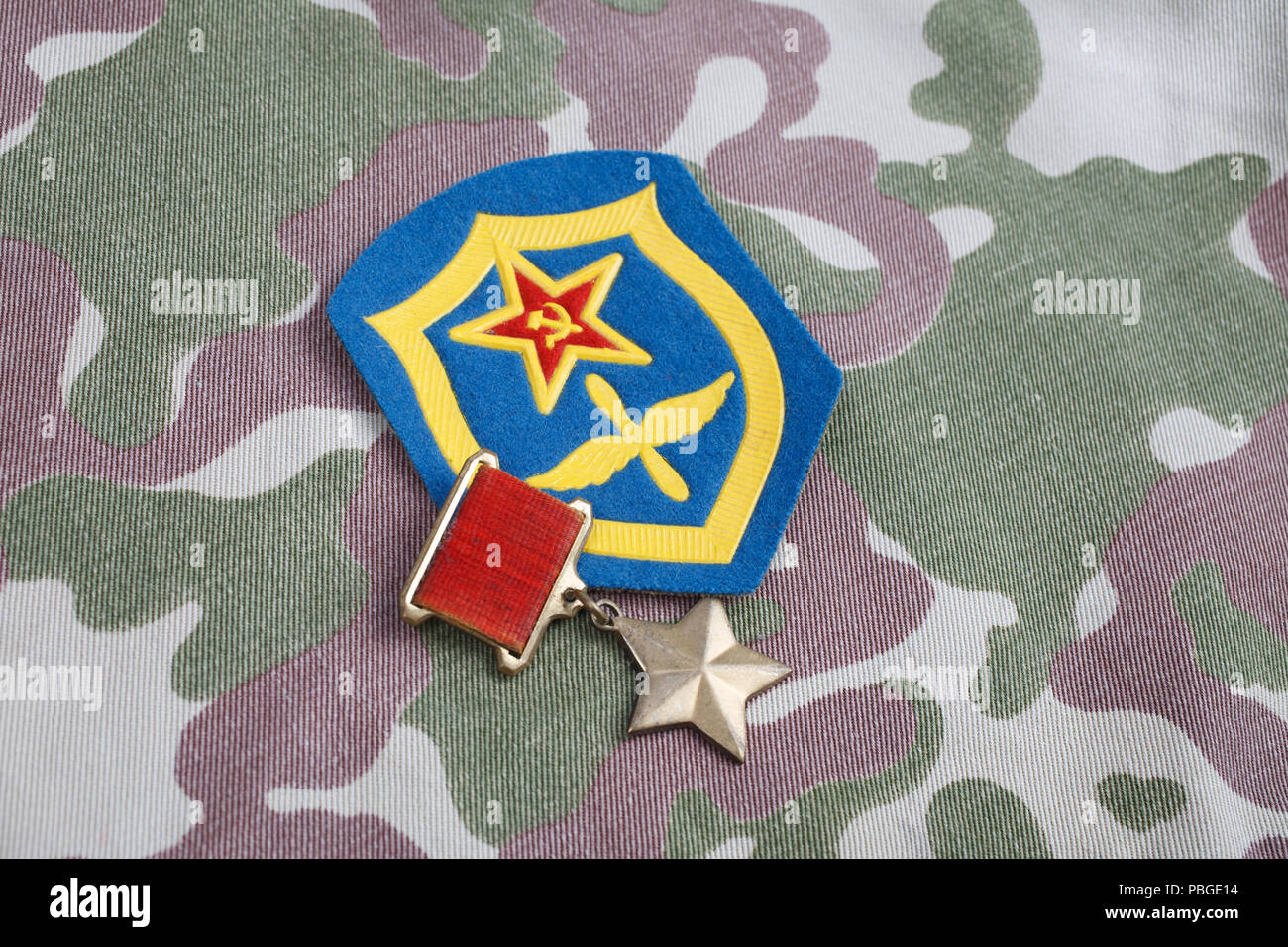 The Gold Star medal is a special insignia that identifies recipients of ...