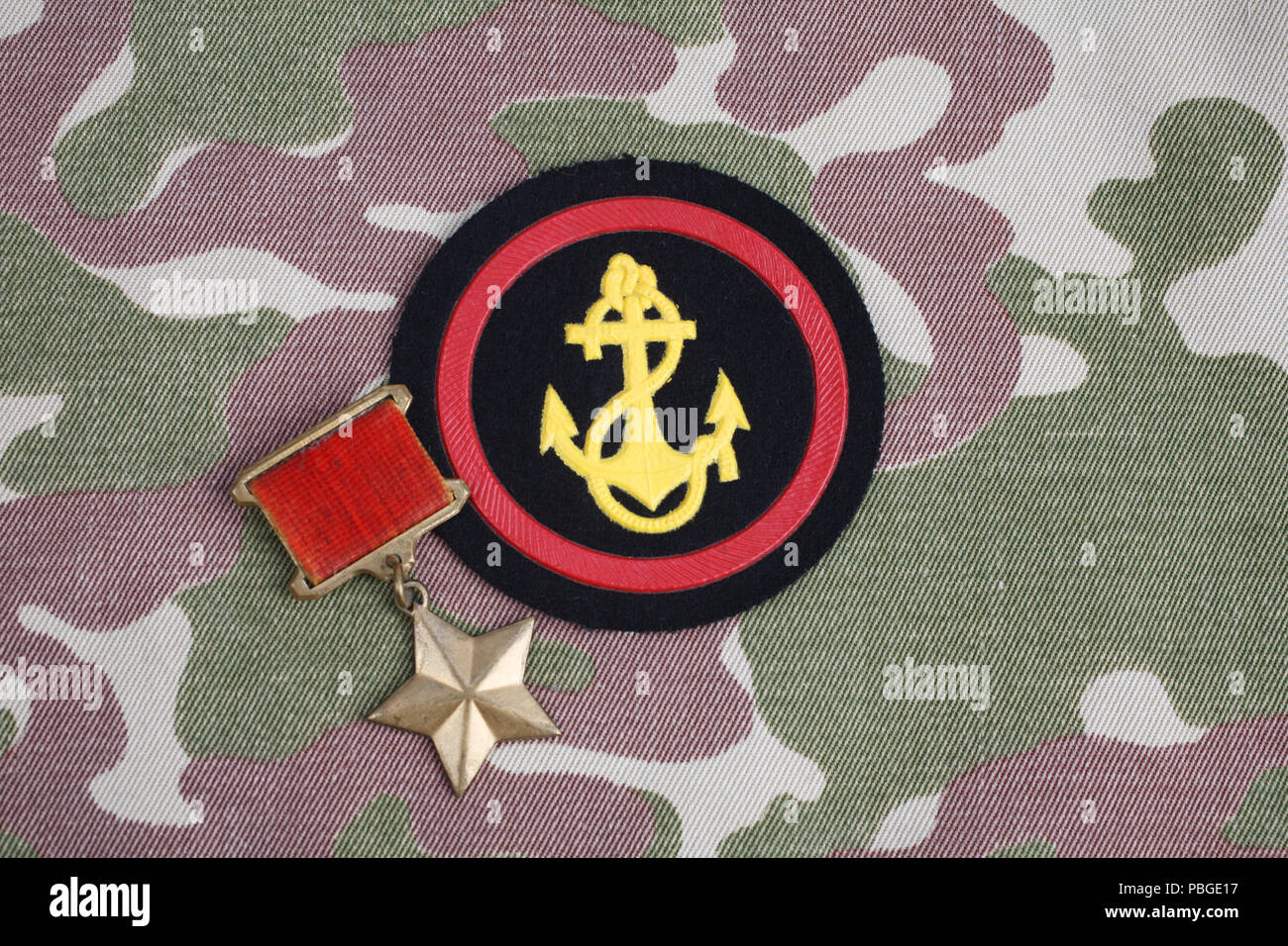 The Gold Star medal is a special insignia that identifies recipients of ...