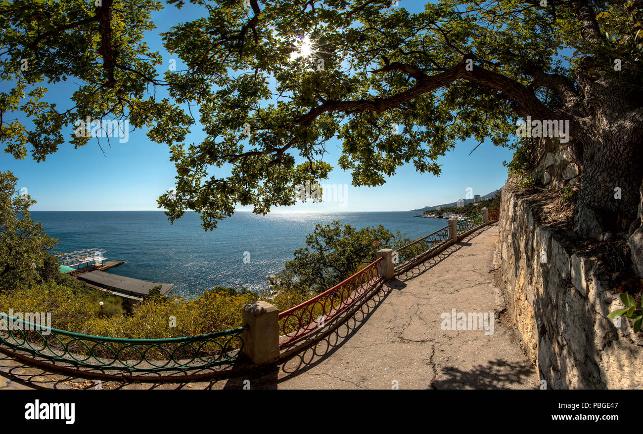 Beauty nature landscape Crimea with crown of tree , horizontal photo ...