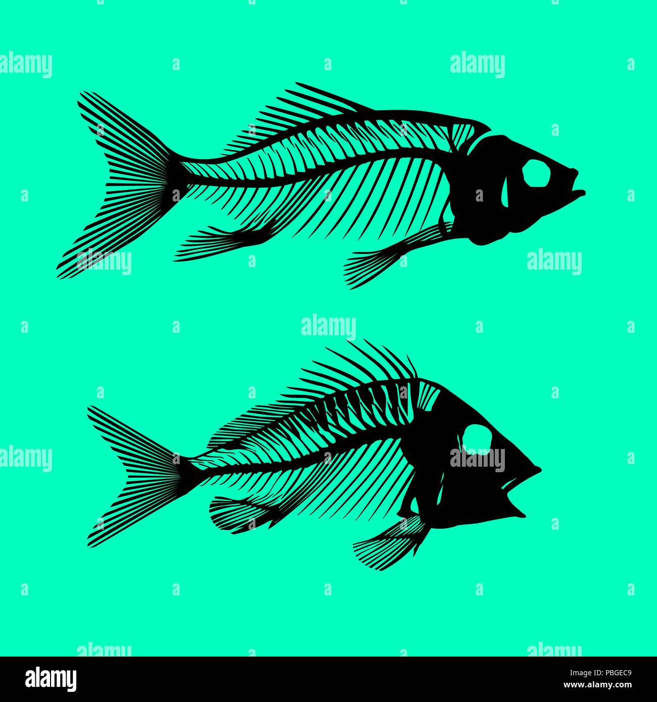 Dead Fish Vector Vectors Stock Photos & Dead Fish Vector Vectors Stock ...
